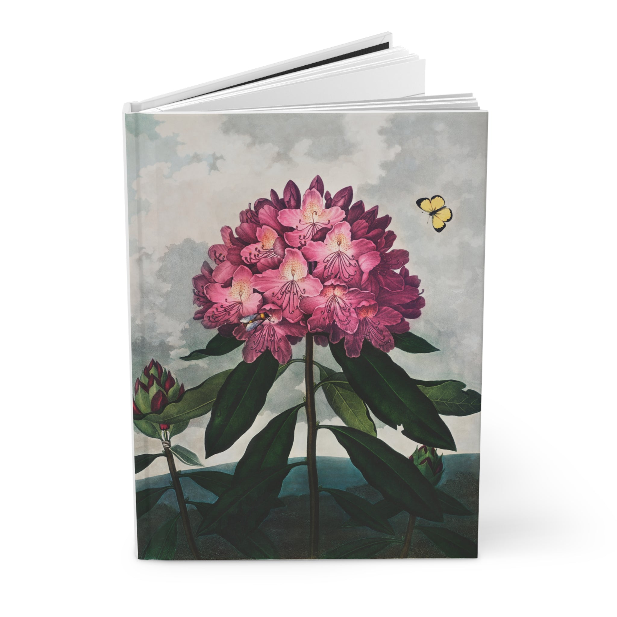 Rhododendron Journal — Thornton Temple of Flora 1807 – LeBonJournal